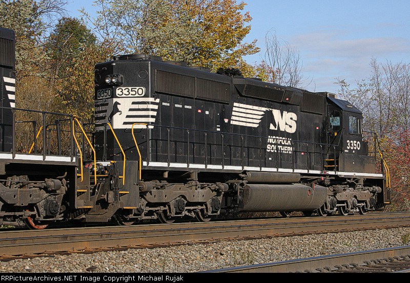 NS 3350